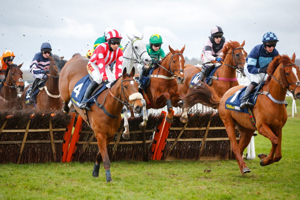 Cheltenham Horse Racing Tips and Trends: Sat 15th Nov